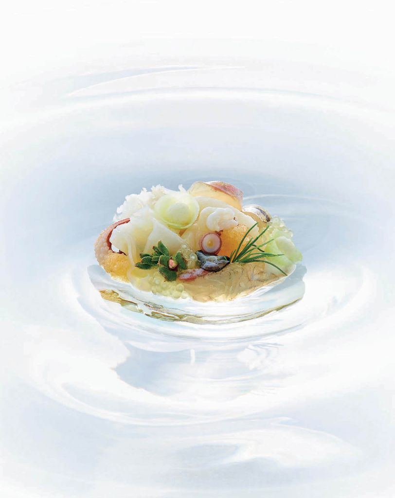 The Reef from Organum by Peter Gilmore