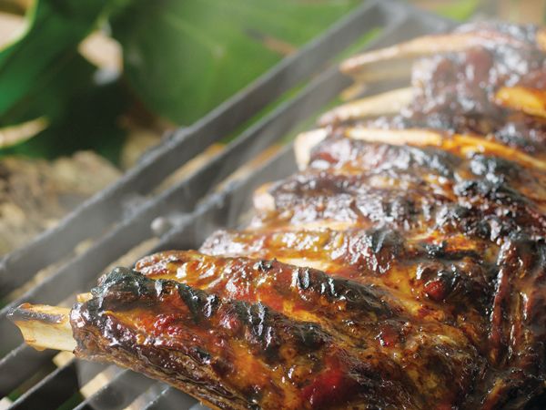 Fogo De Chao Beef Ribs Recipe | Bryont Blog