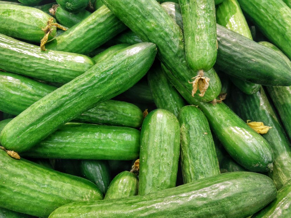 12 Ways With Cucumbers